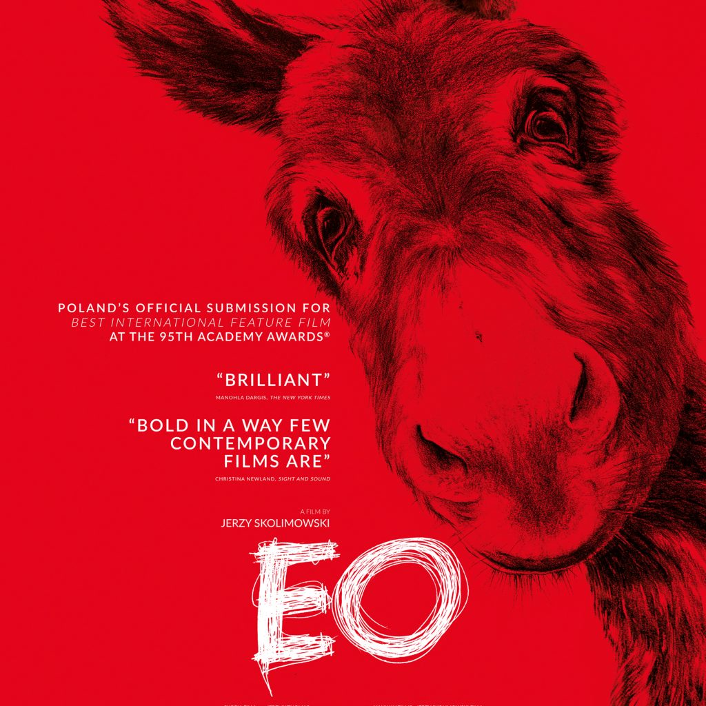 What’s on at The Elgiva