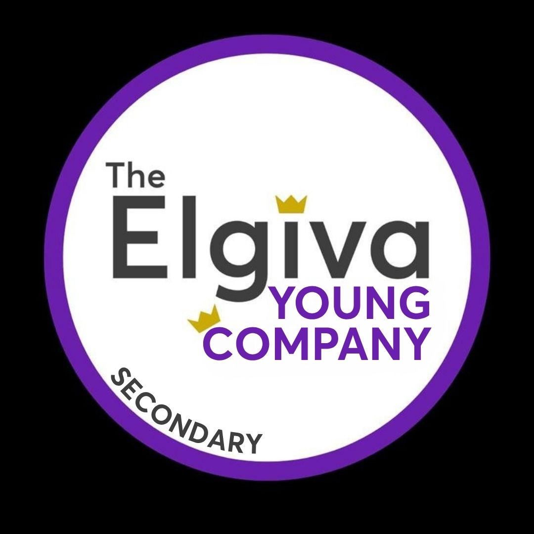 Theatre at The Elgiva