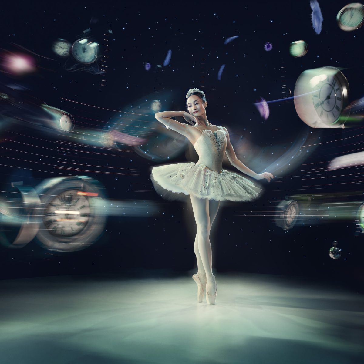 What’s on at The Elgiva